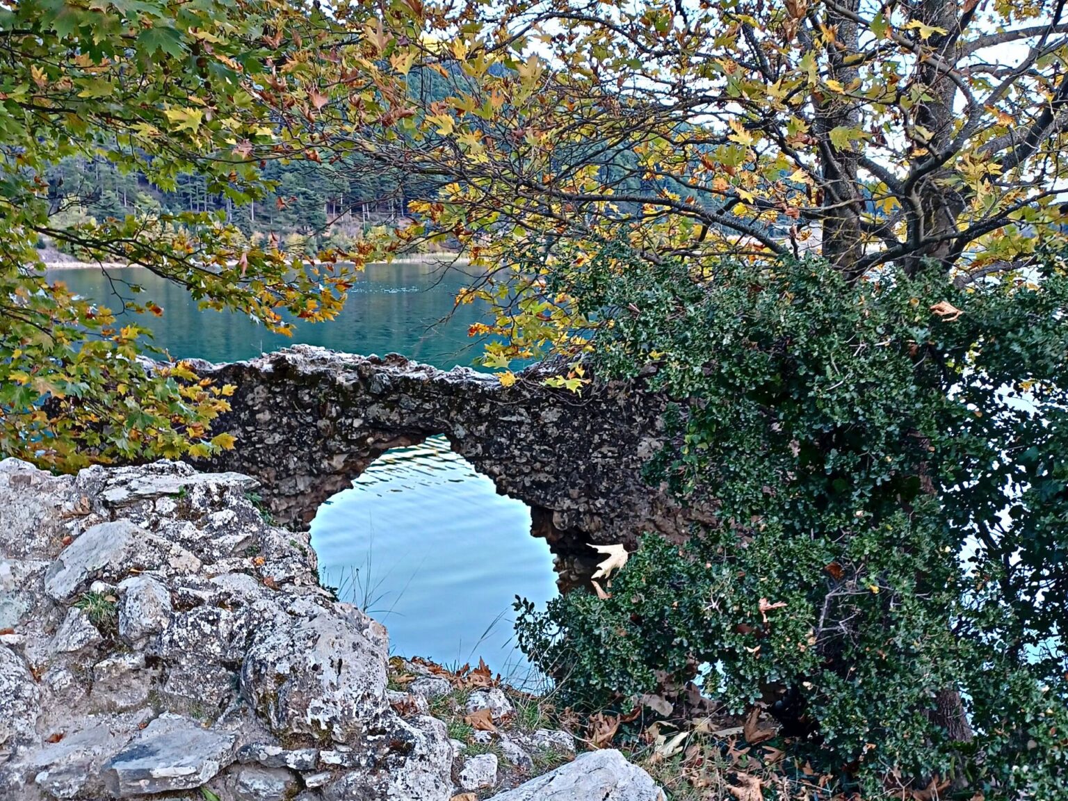Το υπέροχο γλυκό τριαντάφυλλο της μονής Αγίου Γεωργίου Φενεού - iCookGreek